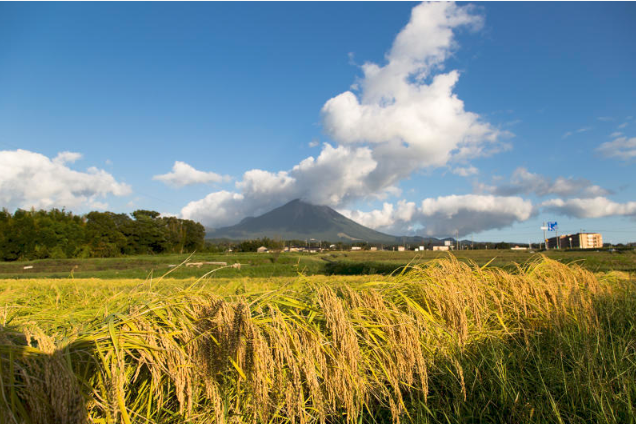 Japanese sake with experts John Gauntner and Shuso Imada: Season Two ...